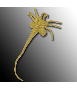 Aliens: Prop Replica Life-Size Facehugger - Visiontoys